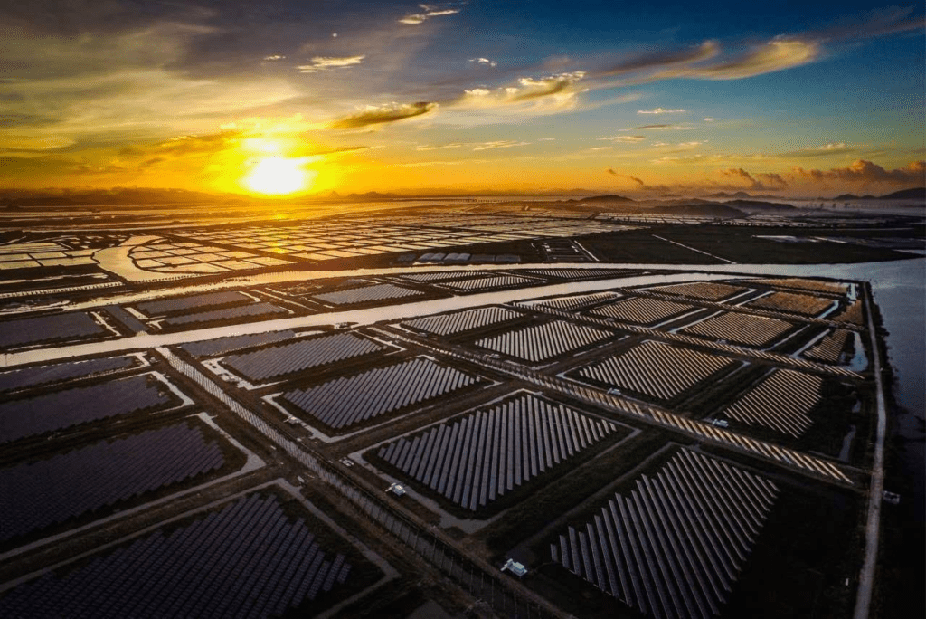 Complementary fishery and light opens up a new path for the sustainable ...